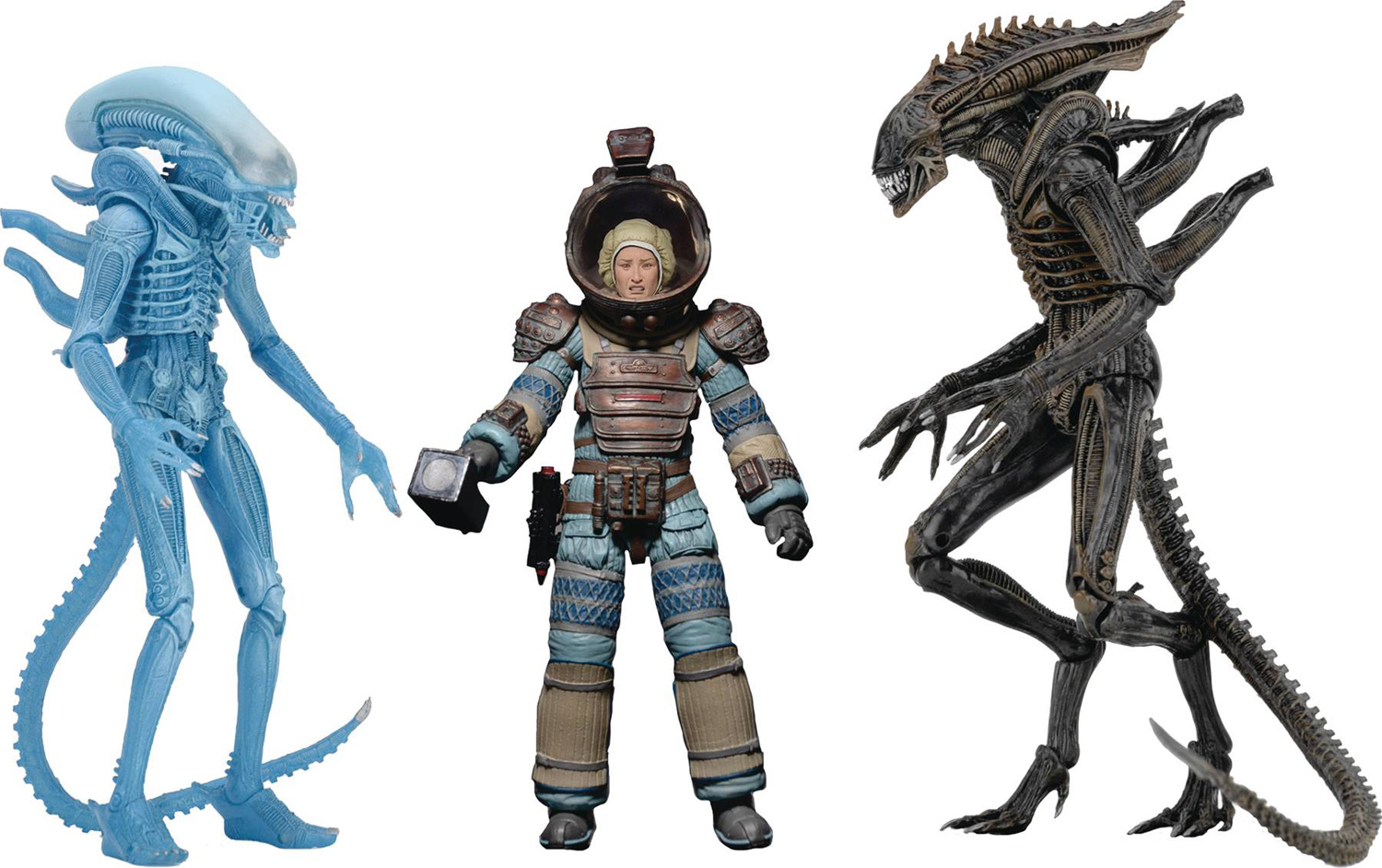 Aliens 7-inch Scale Action Figure Series 11 Assortment - Westfield Comics