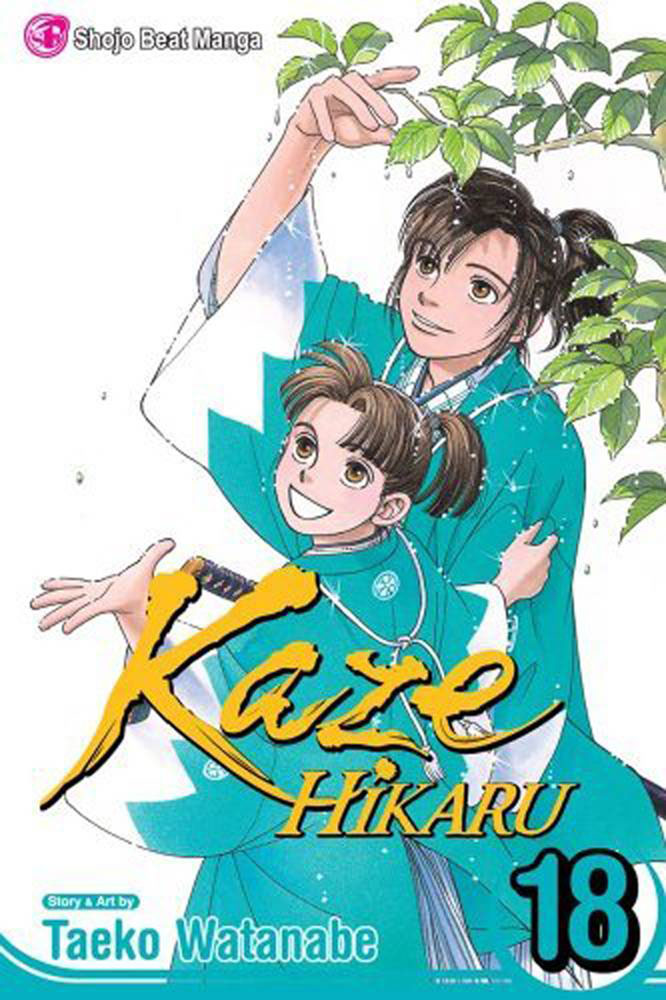 Kaze Hikaru Vol. 18 SC - Westfield Comics